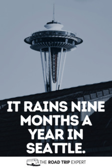 100 Incredible Seattle Captions for Instagram (With Puns!)