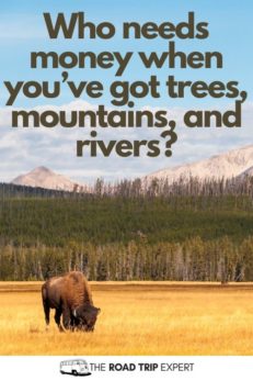 100 Best Yellowstone Captions for Instagram (With Puns!)