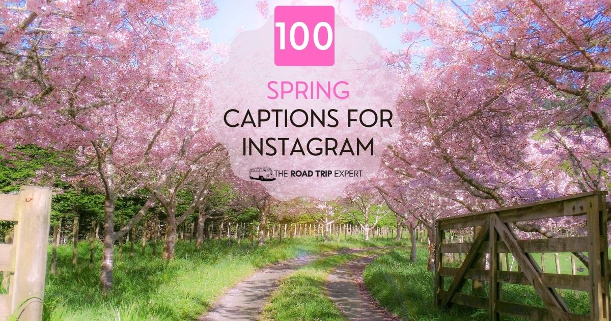 100 Spectacular Spring Captions for Instagram (With Quotes!)