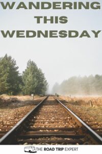 100 Awesome Wednesday Captions for Instagram (With Puns!)