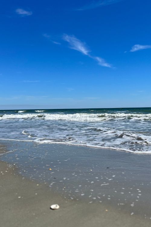 50 Best North Carolina Captions for Instagram (With Puns!)